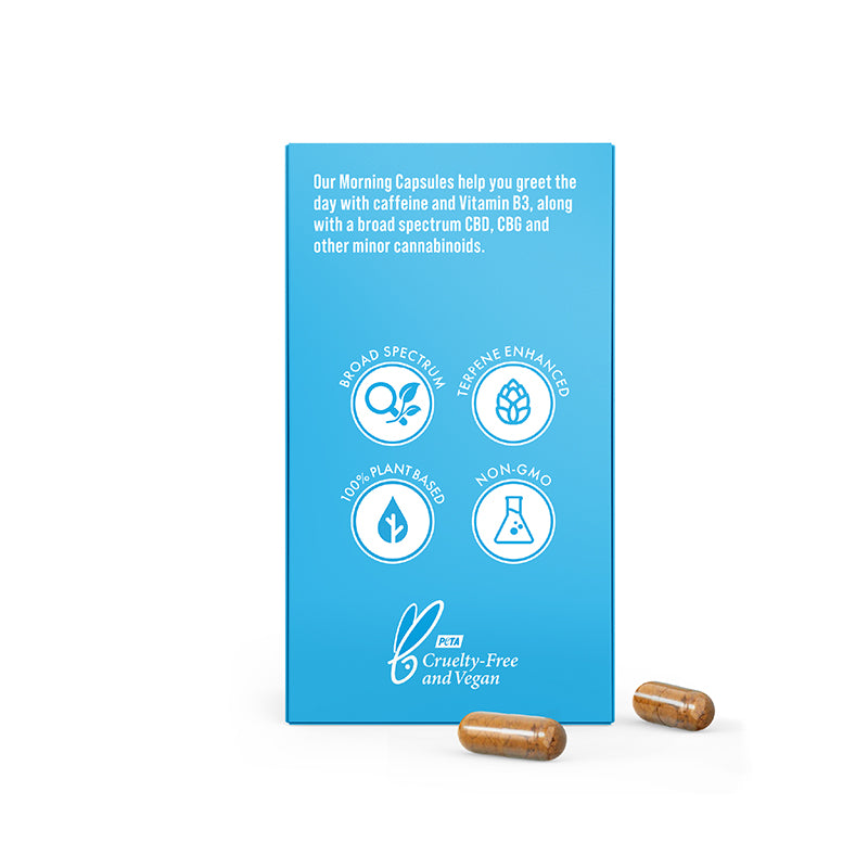 CBD + CBG Morning Capsule For Energy & Focus 900mg - 100% Vegan - CBDfx UK