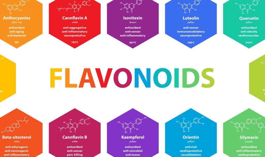What Are Flavonoids in Hemp? - CBDfx UK
